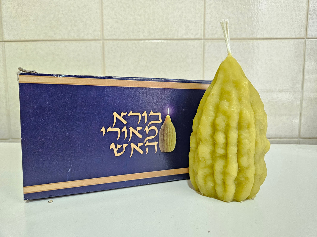 Etrog | Lulav | Etrog and Lulav | Lulav and Esrog, Gotetrog.com ...